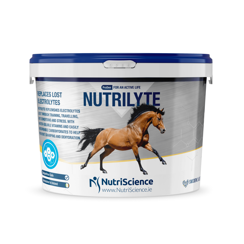 Nutritional supplements for horses | NutriScience Pet & Equine Supplements