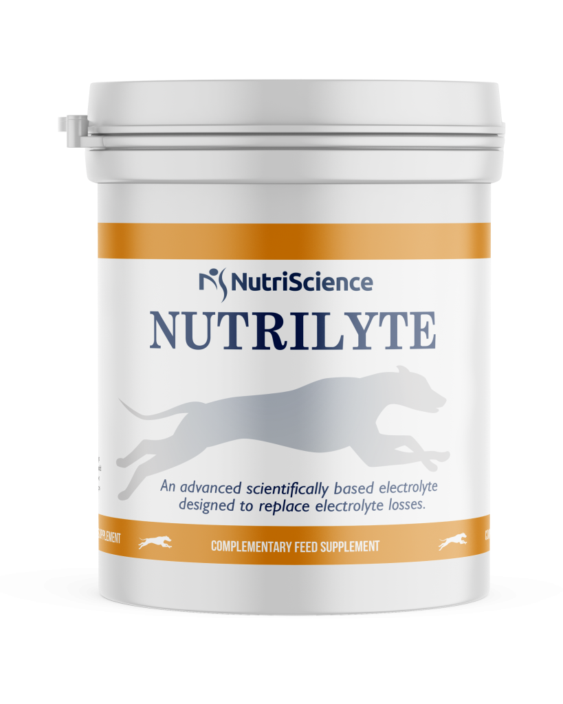Turbolyte Gel Greyhound | NutriScience Pet & Equine Supplements