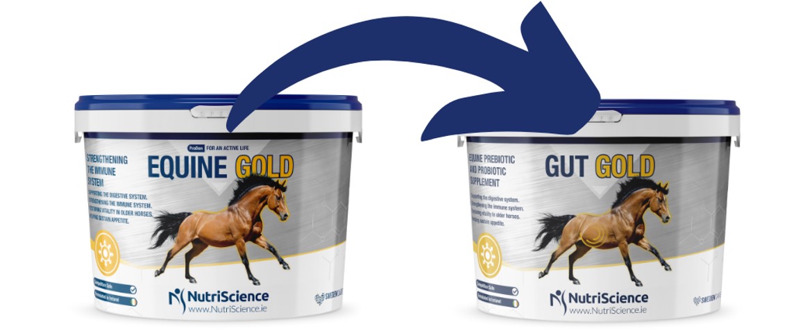 Equine Gold is now Gut Gold | NutriScience Pet & Equine Supplements